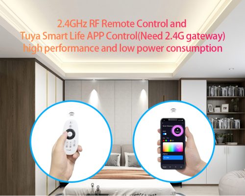 C01RF/C02RF 2.4GHz RF Single Color/Dual White LED Controller - DERUN LED