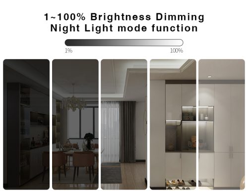 C01Z/C02Z Zigbee 3.0 Single Color/Dual White LED Controller - DERUN LED